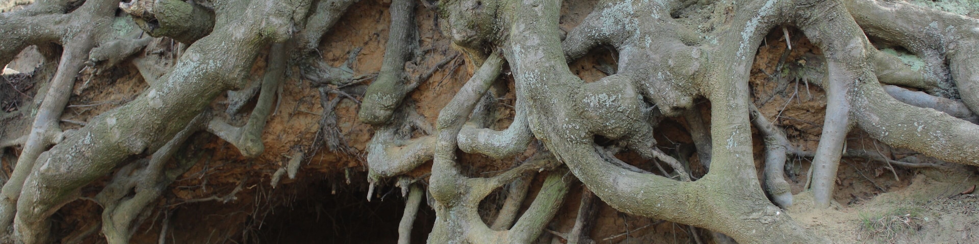 Beautiful walk around the river nice old viaduct to see