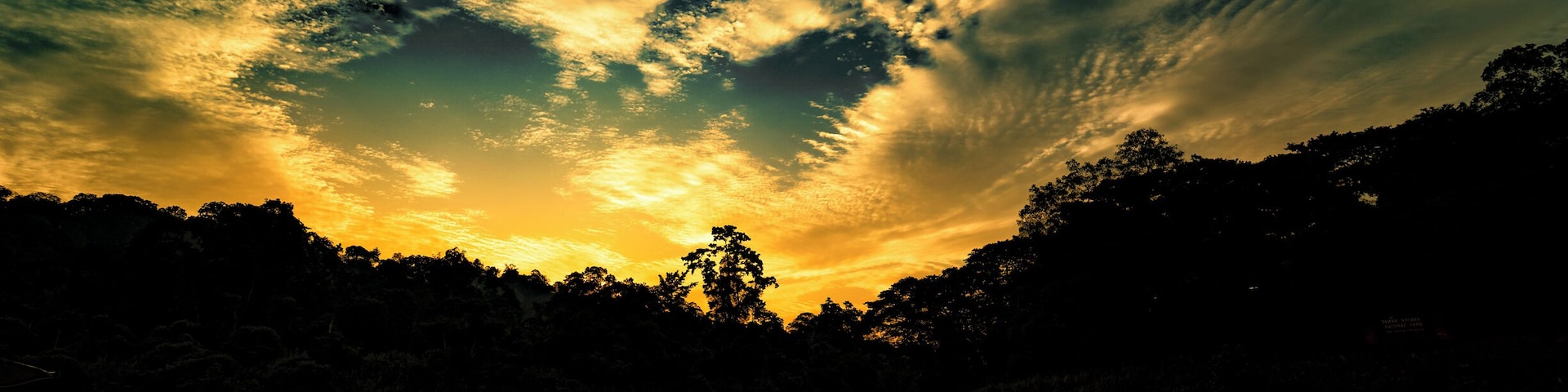 The 130 million years old virgin rainforest slowly going to sleep ..
#jungle #rainforest #savetheearth