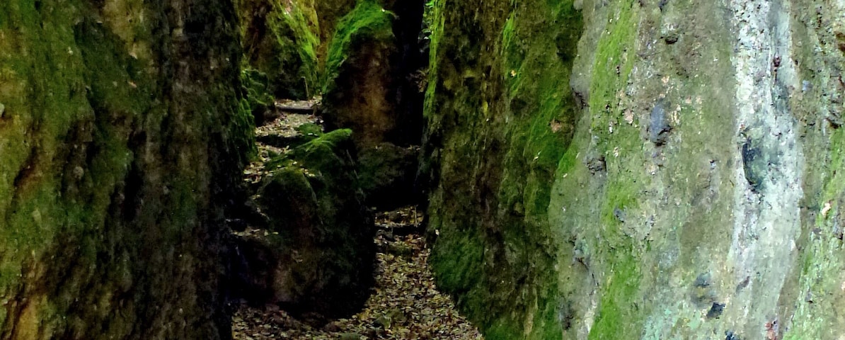 La tagliata etrusca per Caere detta "Il Cavone" a Monterano