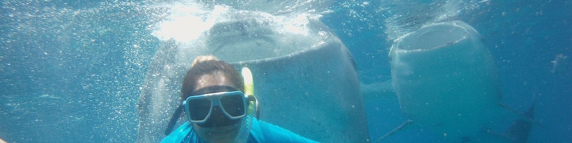 Swam with the whale sharks! ☺
Oslob, Philippines
