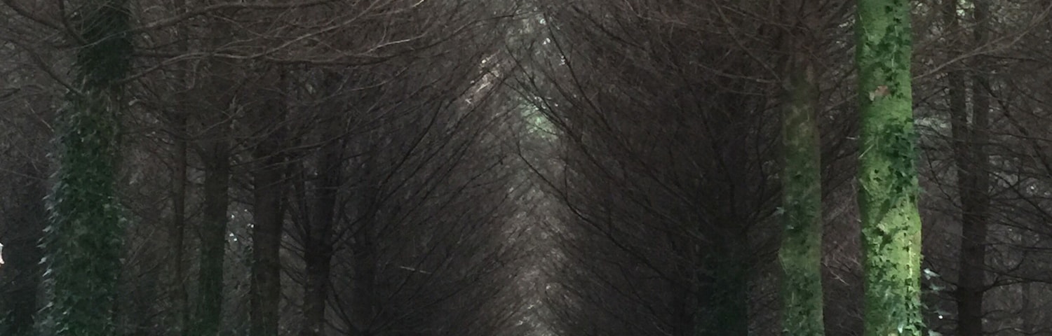 A view walking the pilgrimage of St James Way towards Santiago de Compostela, Spain