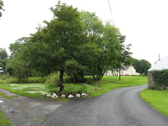 Uma estrada rural serpenteando por uma paisagem verde com árvores e uma casa branca ao fundo.