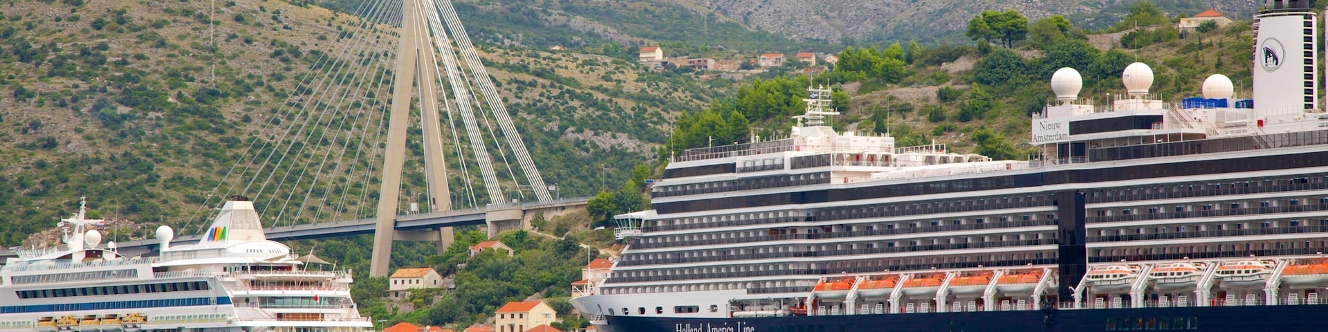 Gruz Harbor featuring cruising