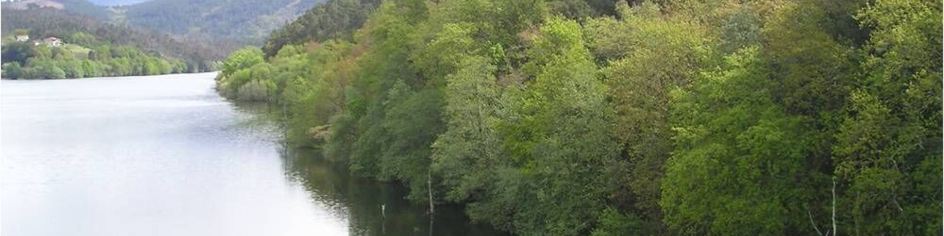 Vegetación de ribera.