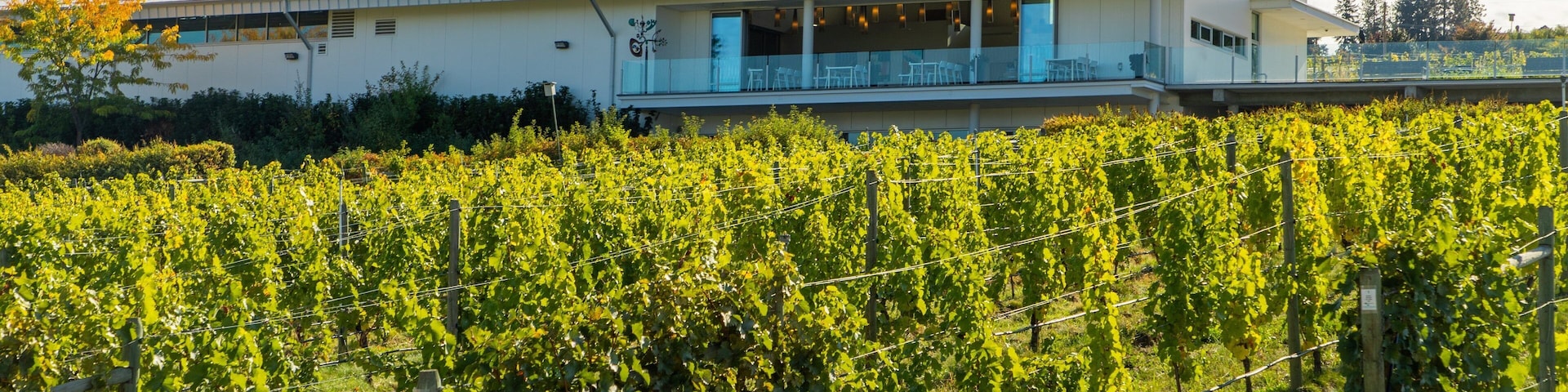 Tantalus Vineyards which includes farmland