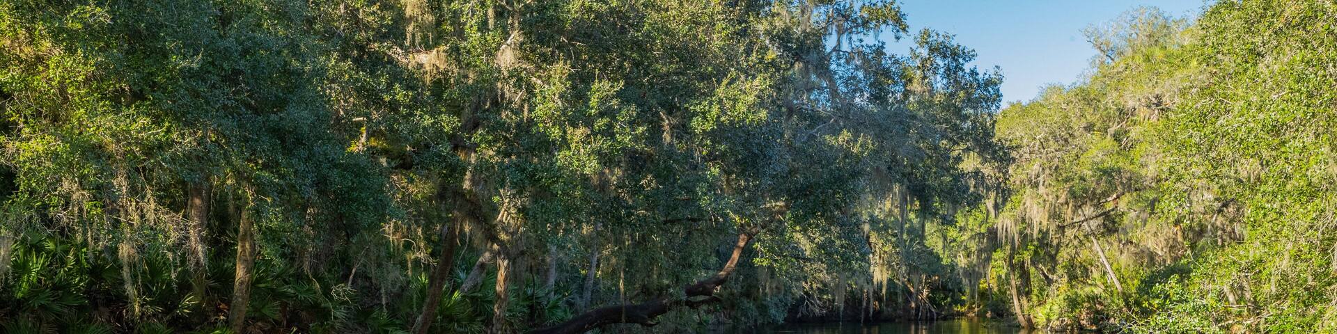 Blue Spring State Park which includes a river or creek