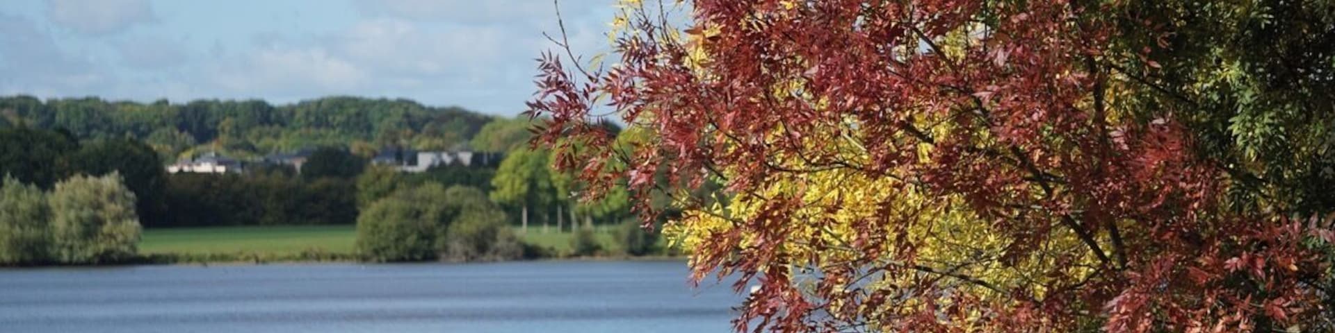 Lovely fall colors along the Lac de Maine in Angers, Loire Valley. Worth going there!