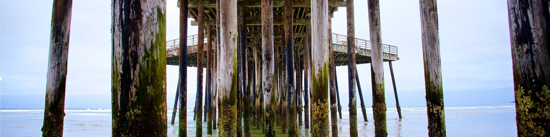 Pismo Beach Pier which includes a beach