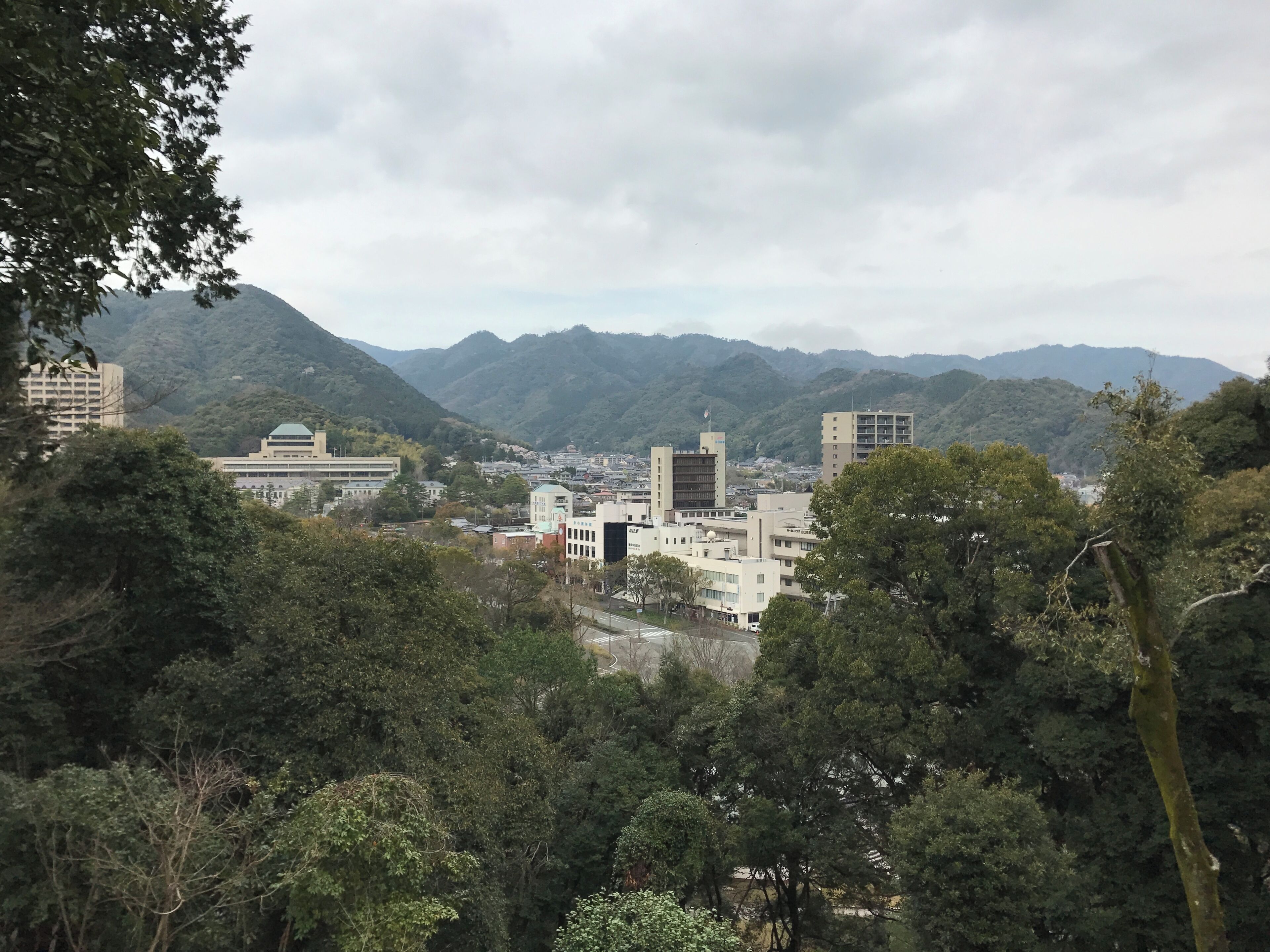 Paisagem urbana com montanhas ao fundo e floresta densa em primeiro plano.