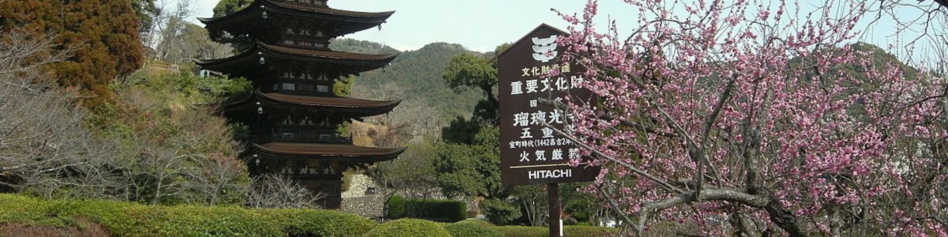 Uma pagoda japonesa tradicional, cerejeiras em flor e um letreiro com caracteres japoneses.