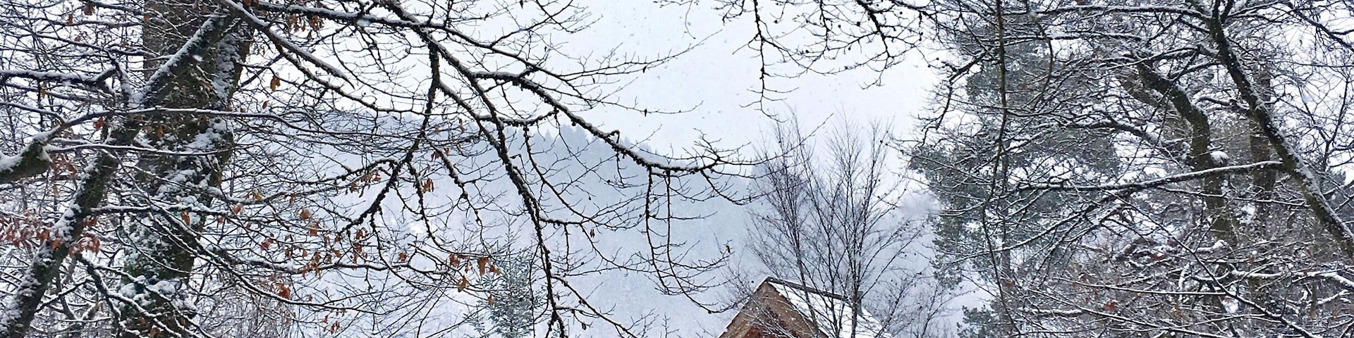 Our wooden cabin where we stay this week is situated along a beautiful hiking trail in the middle of a forest in the Belgian Ardennes. #winterwonderland #cabin #outdoors #SnowTroving