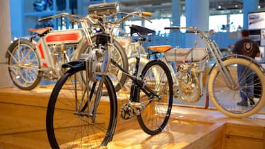 Bicicletas antigas expostas em um museu.