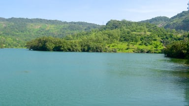 Um lago tranquilo rodeado por colinas verdes e uma floresta densa.