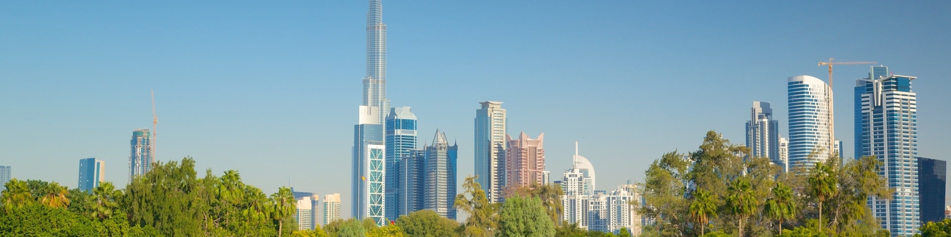 Safa Park featuring a city, a skyscraper and a garden