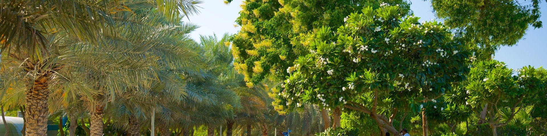 Zabeel Park showing a park