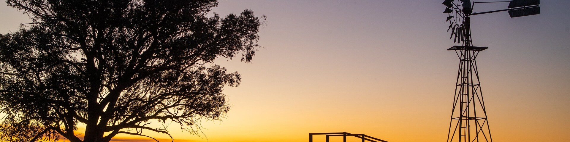 Wangaratta featuring a sunset and farmland