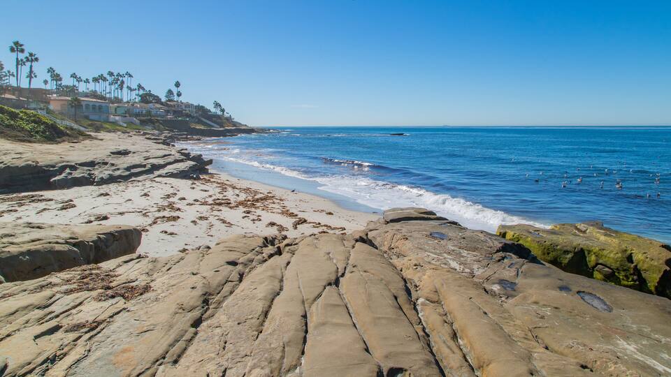 Windansea Beach featuring a sandy beach, general coastal views and rugged coastline