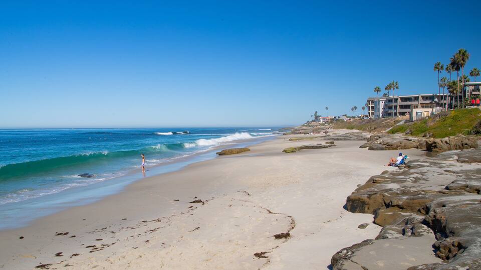 Windansea Beach showing a sandy beach and general coastal views