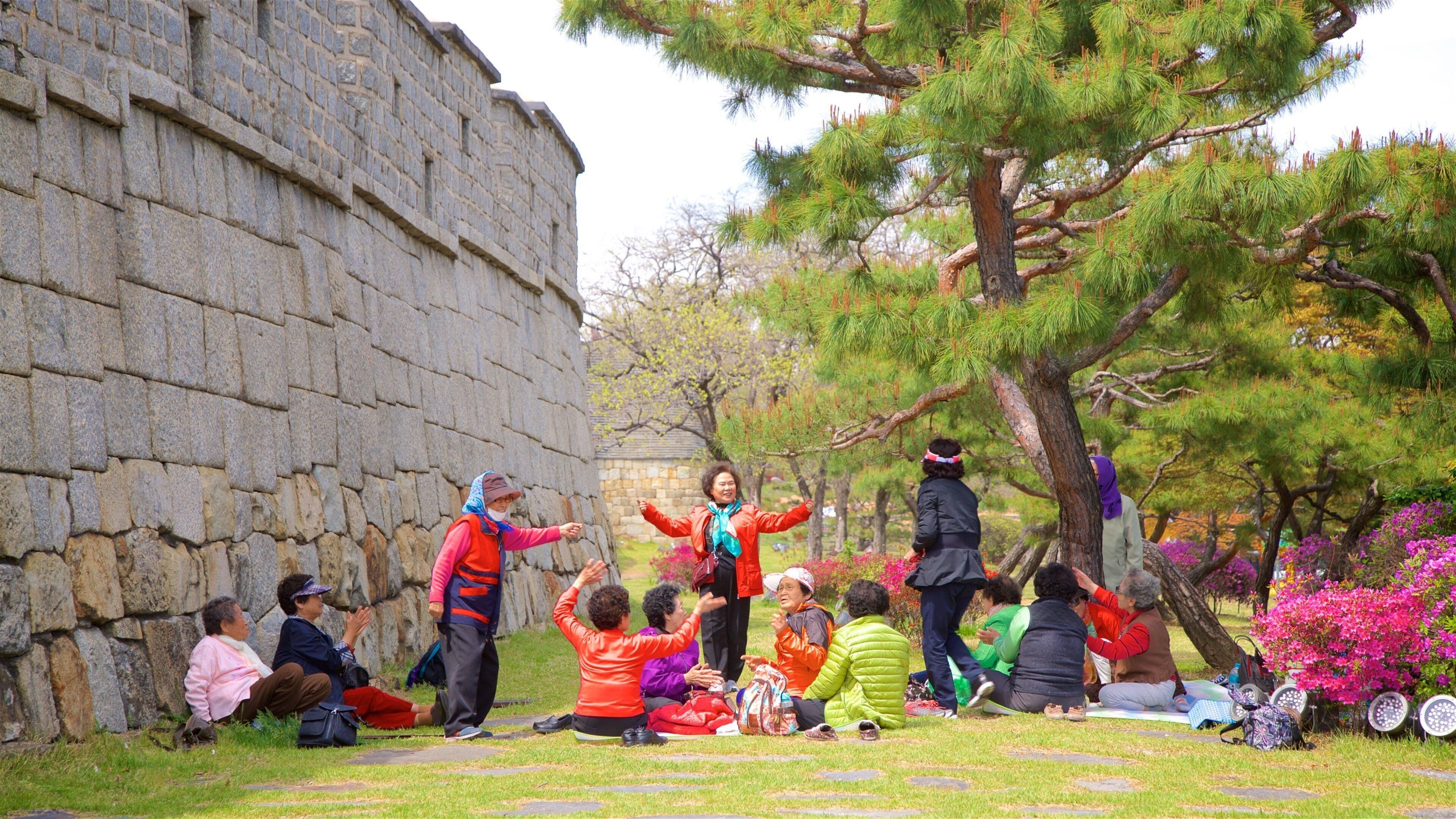 Um grupo de pessoas reunidas ao ar livre perto de um muro de pedra, com árvores e plantas floridas ao fundo.