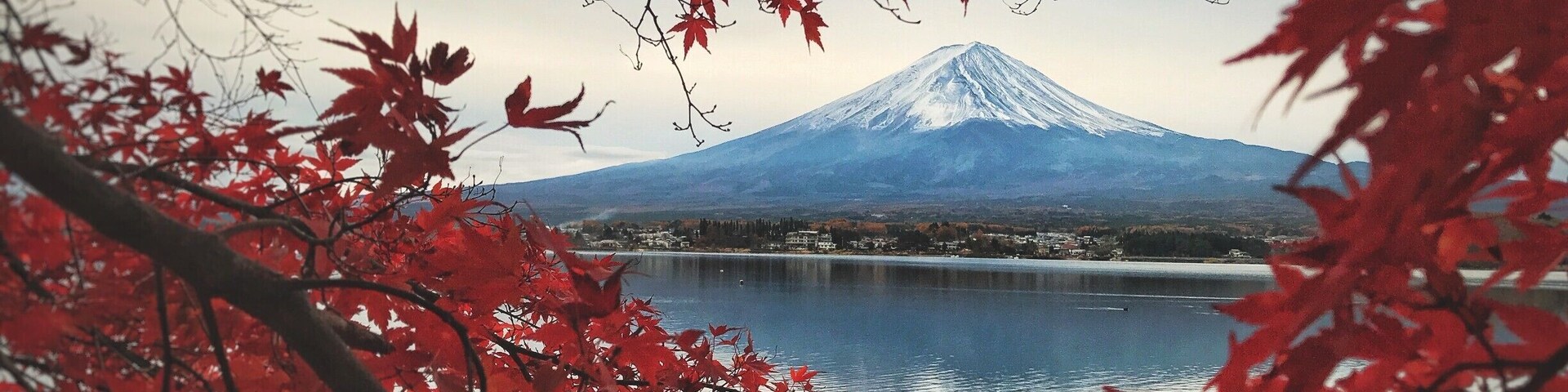 富士山の赤い葉
Late October to early November is the peak of red leaves by Mt. Fuji. Keep in mind when you are planning your trip to Mt. Fujin in Autumn!
#Red
#LifeAtExpedia
#mtfuji
#redleaves
#kawaguchiko
#Japan