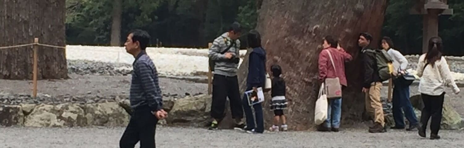 Tree hugging time at the Shinto shrine