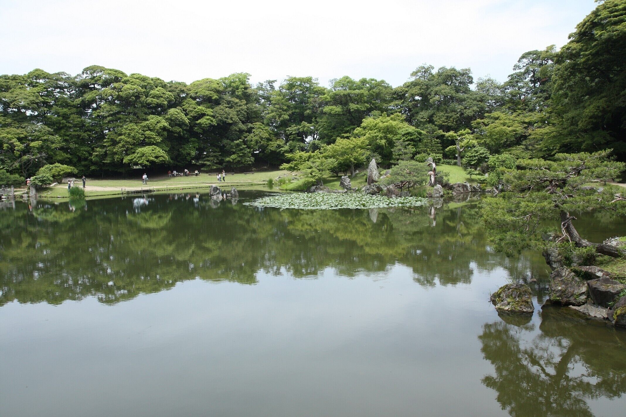 Um lago tranquilo rodeado por vegetação exuberante e árvores.