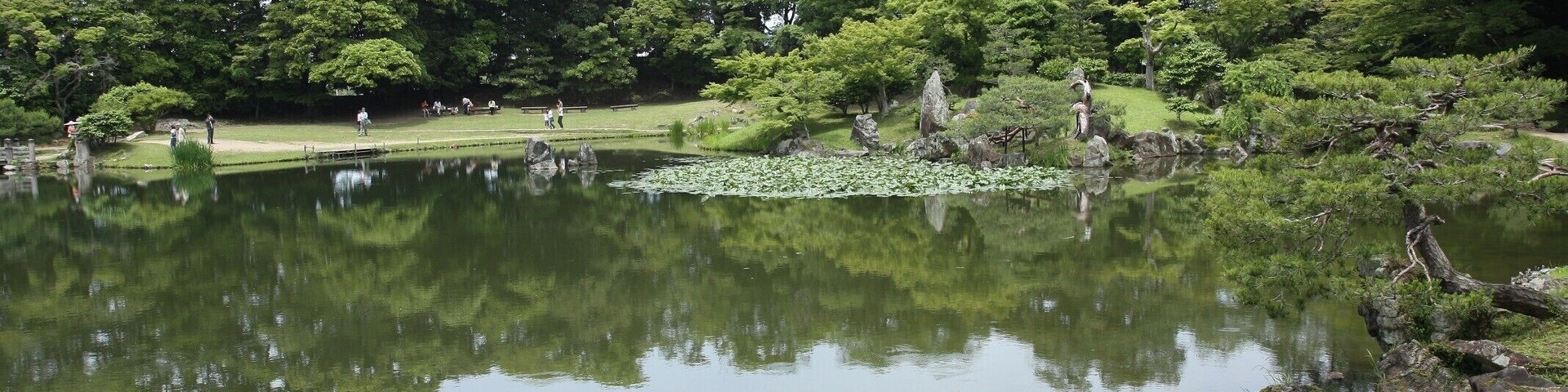 Um lago tranquilo rodeado por vegetação exuberante e árvores.
