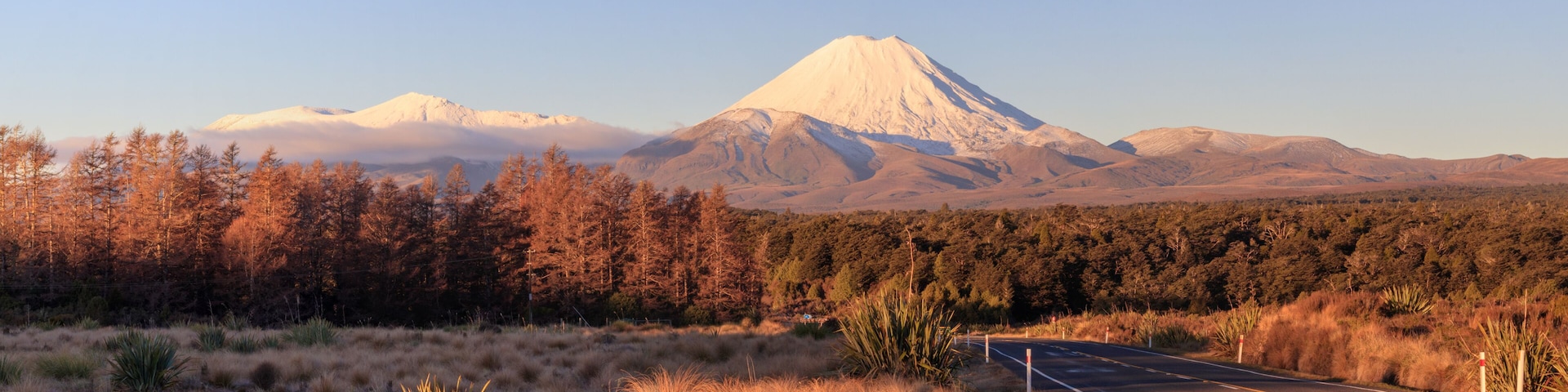 Uma estrada que leva a uma montanha coberta de neve, com uma área arborizada em primeiro plano.