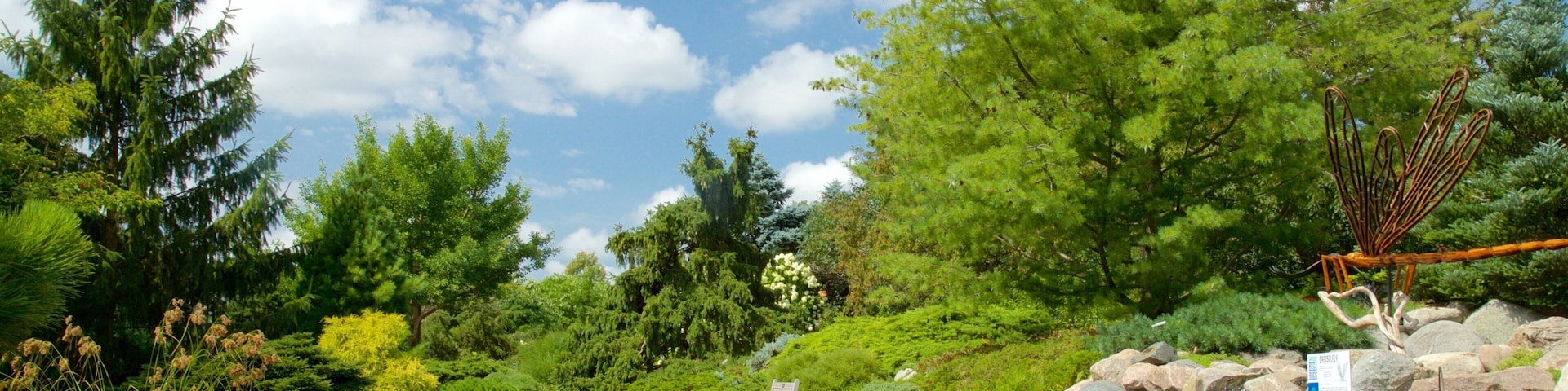 Minnesota Landscape Arboretum showing a park