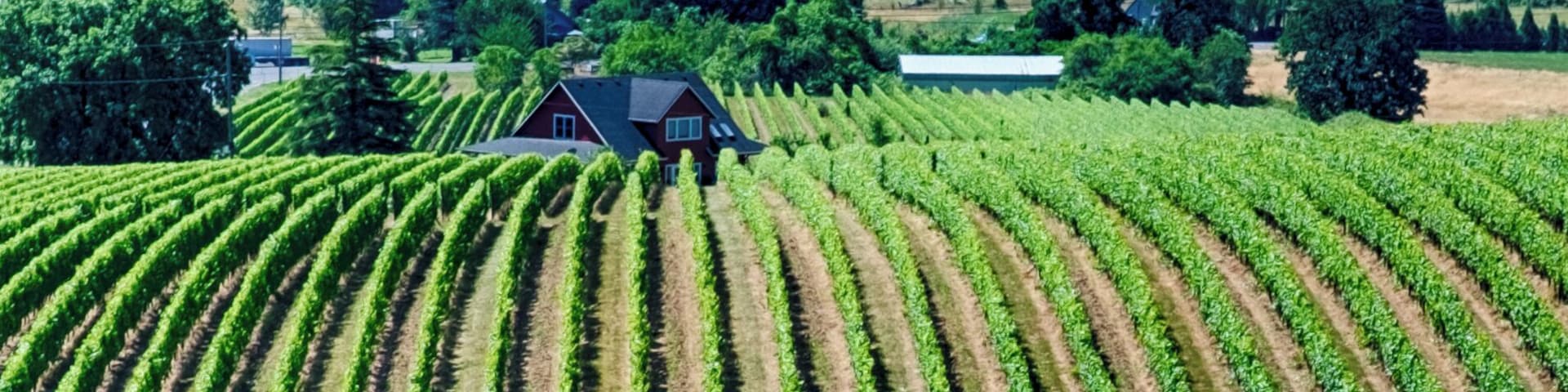 Wine tasting @Sokol Blosser winery, Oregon
#sokolblosser #oregon #vineyardvines #vineyards #dundeehills #pacificnorthwest
#lifeatexpedia