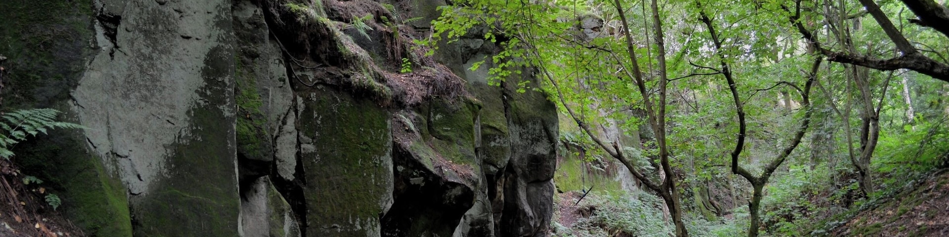 Taken at Carvers Rocks near Foremark Reservoir, Derbyshire, UK.
#Midlands #Derbyshire #ForemarkReservoir #Reservoir #Lake #Water #Woods #Woodlands #Outdoors #Nature #CarversRocks #Rocks
