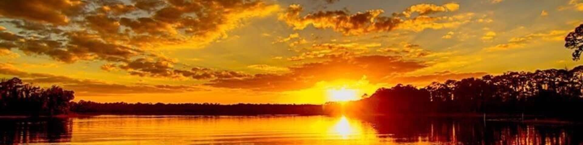 Winter in Florida #Golden