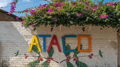 Um mural com a palavra "ATACO" e uma ilustração de cafeeiro numa parede de tijolos.