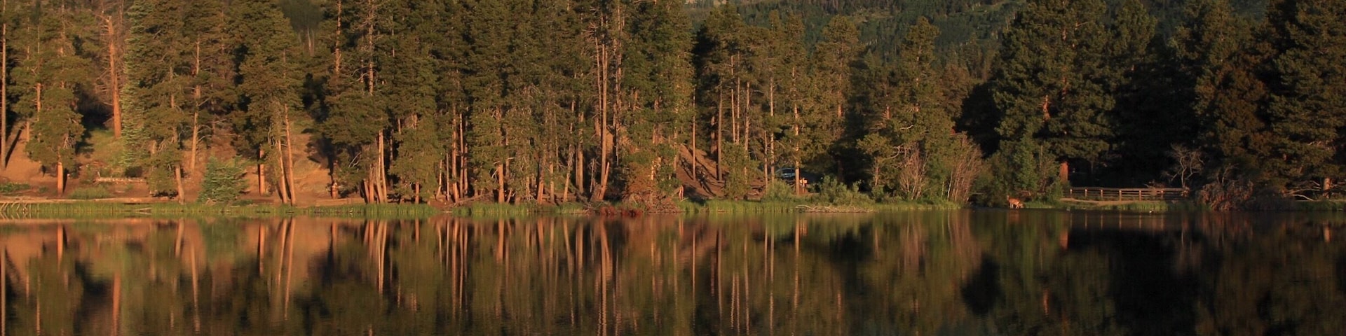 Sprague Lake is on Bear Lake Road in the park and it is simply magical at sunrise! Not a lot of people at 5:00 a.m. so it's wonderfully quiet and serene. The lake was quite still so the reflections were fantastic, but I wish there had been a few clouds in the sky! If you look closely there is a doe and her fawn on the shoreline near the bridge on the right side of the photo. #blue #colorful #mountains #rockymountains #estespark #colorado #waterlust #EndlessSummer #Green #AquaTrove #Reflections