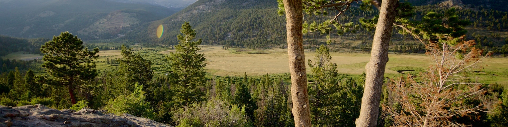 Paisagem montanhosa com céu claro, primeiro plano rochoso e floresta densa.