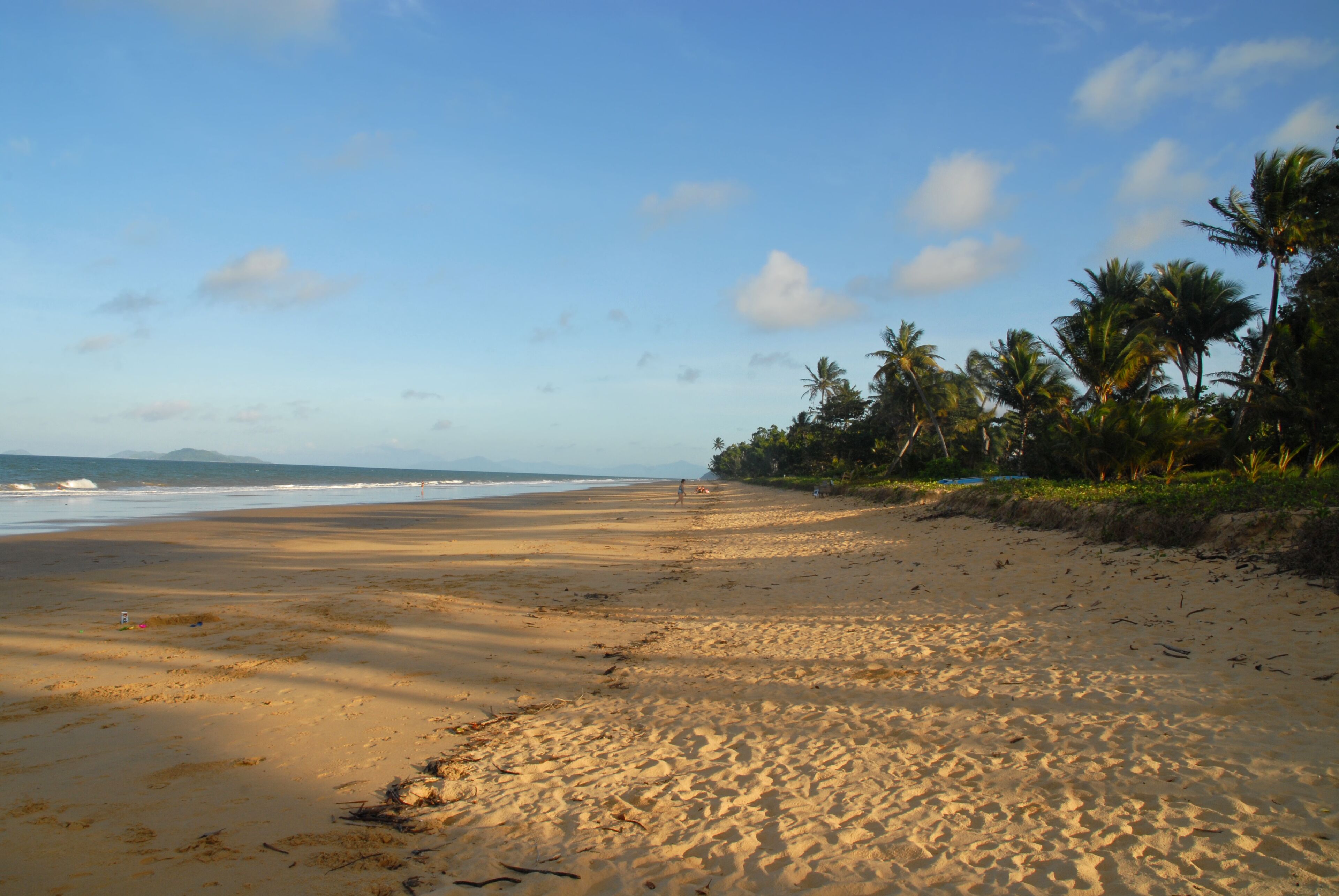 Uma praia arenosa com palmeiras e ondas do oceano.