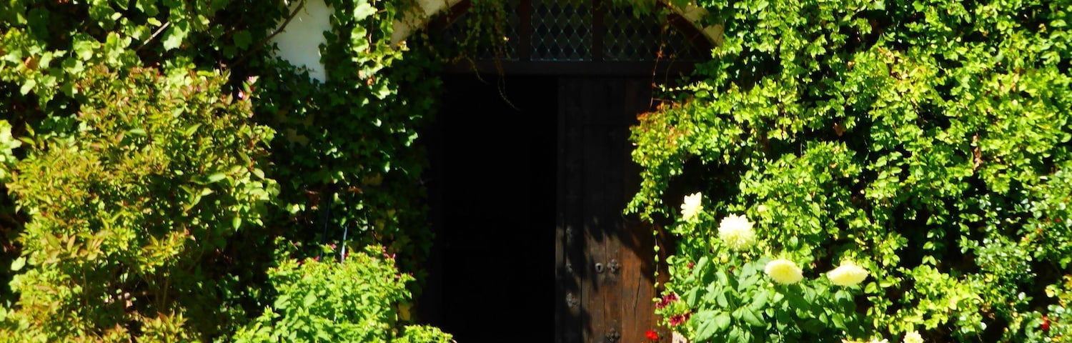 Schloss Seibersdorf (Eingangsportal)