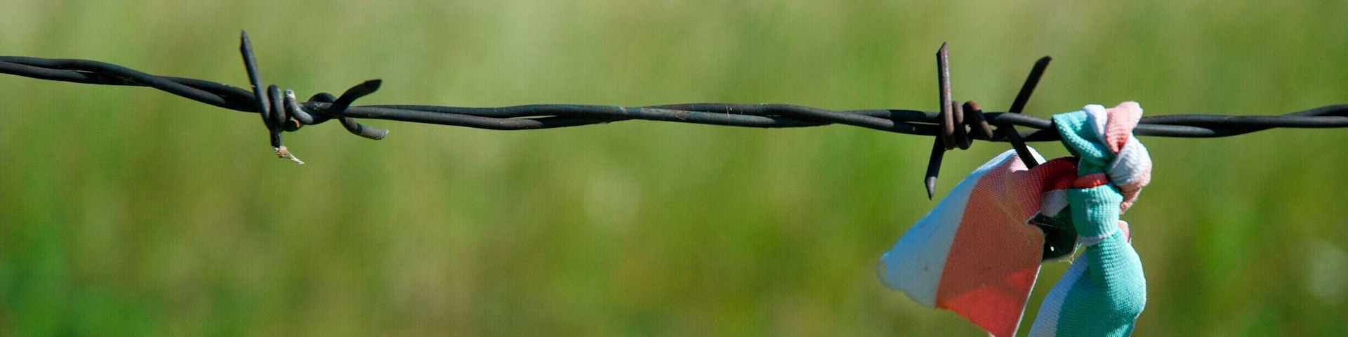 detail of the iron crurtain