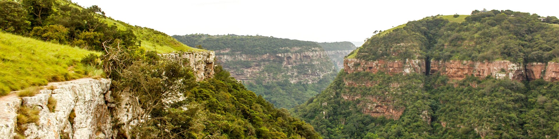 Um penhasco íngreme com vegetação exuberante e um vale profundo.