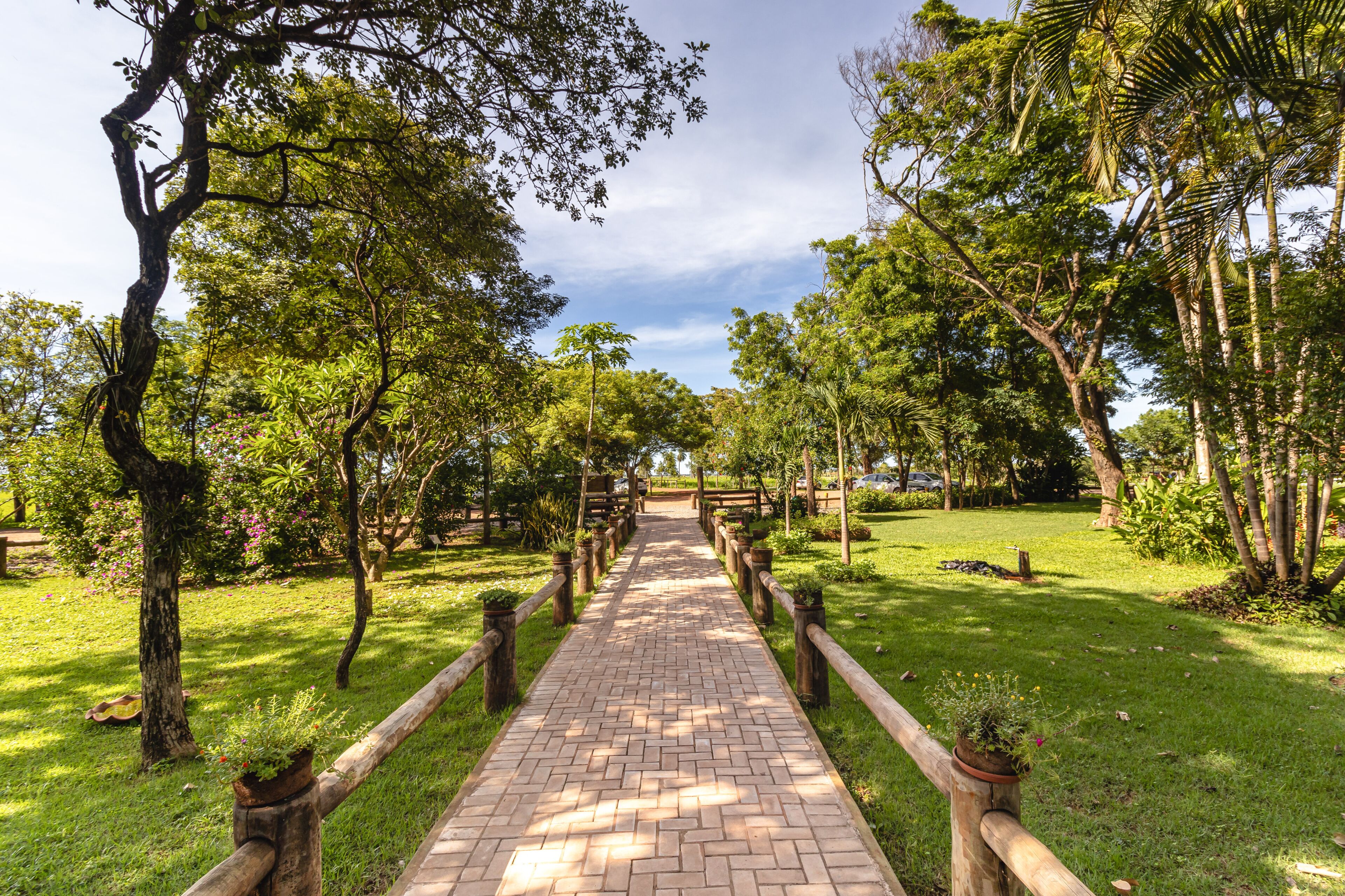 Uma trilha pavimentada ladeada por árvores e plantas em vasos, serpenteando por um parque.