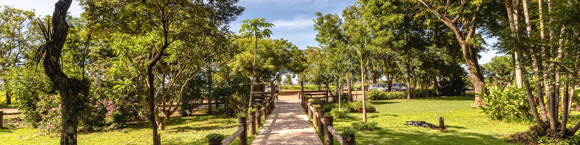 Uma trilha pavimentada ladeada por árvores e plantas em vasos, serpenteando por um parque.