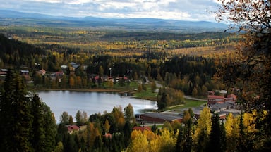 Um lago rodeado por árvores e casas com cores de outono.