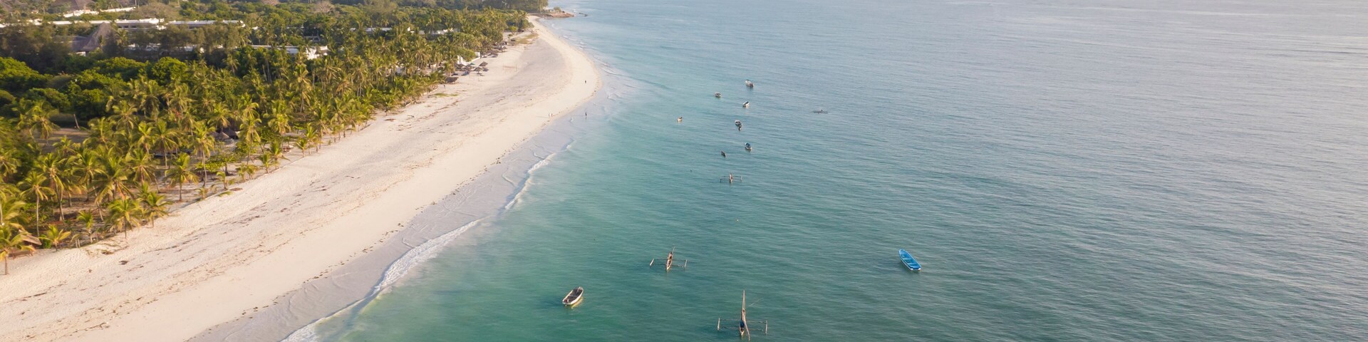 Paisagem costeira com praia arenosa, palmeiras densas e águas turquesa calmas.