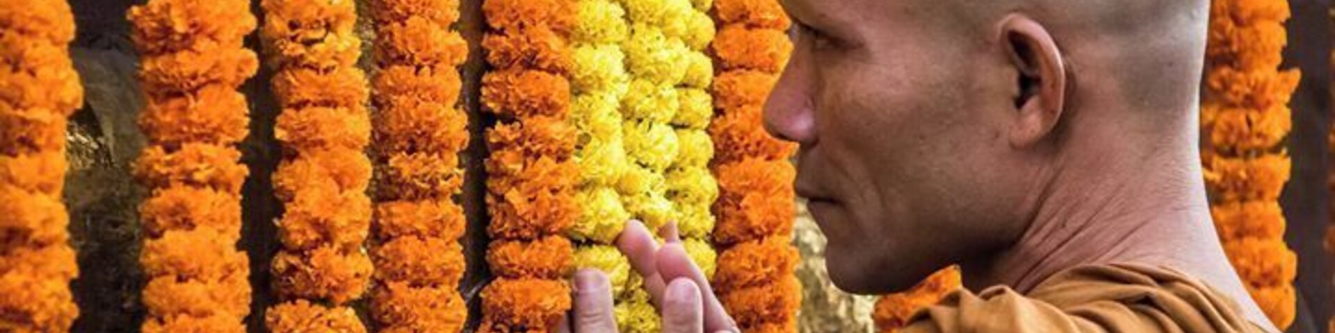 Budhhist monks coming to pay their respects on the spot Buddha gained enlightenment all those years ago.