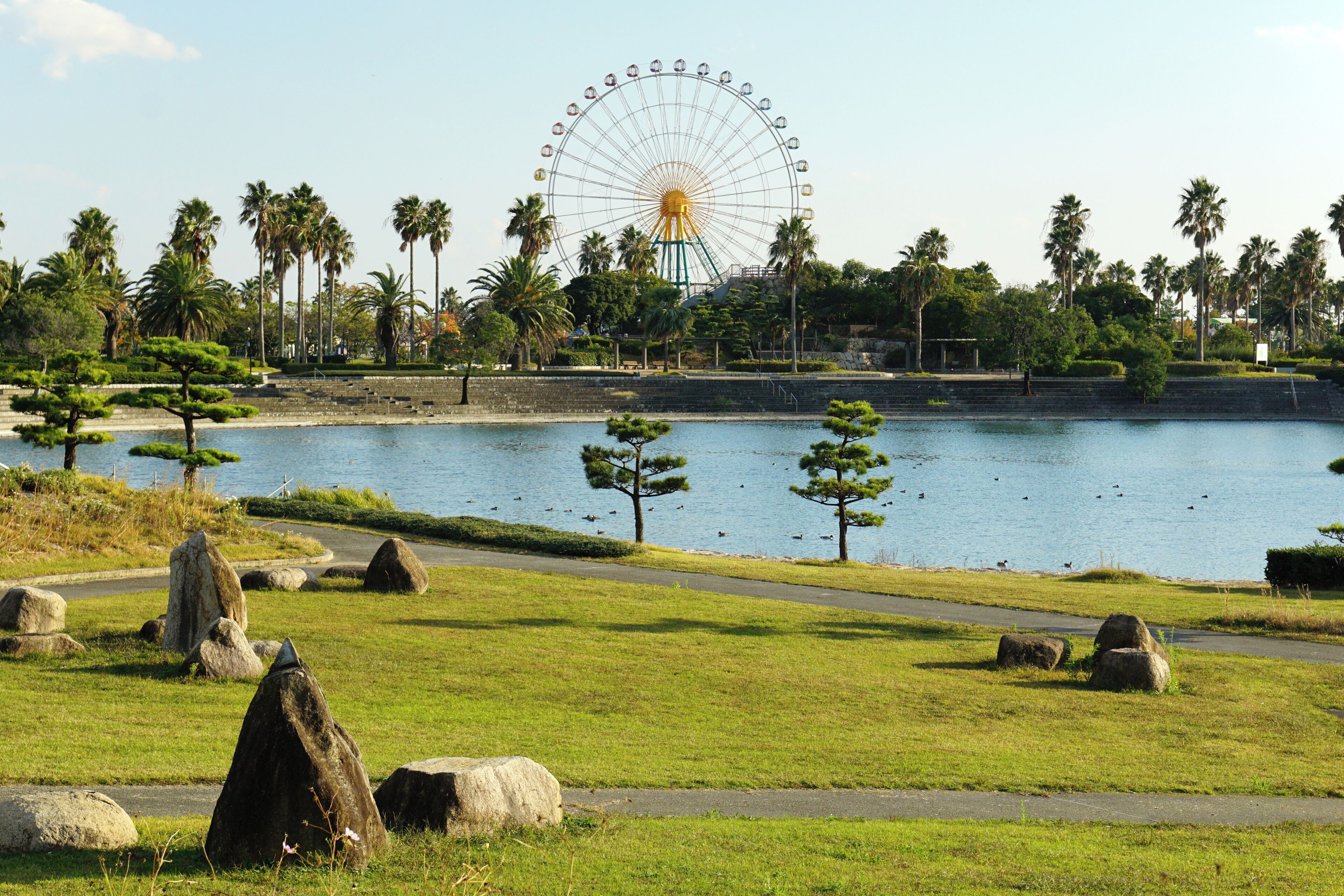 Um parque com um lago grande, palmeiras, uma roda gigante e um caminho.