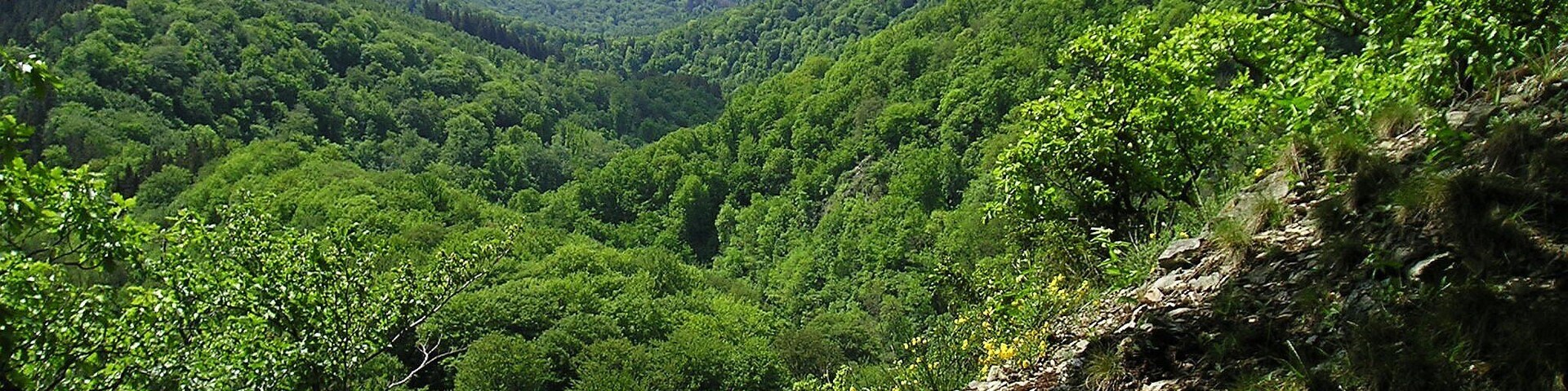 Blick ins Bodetal von der Nordseite