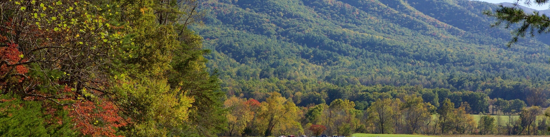 Cades Cove caracterizando montanhas e florestas assim como um pequeno grupo de pessoas