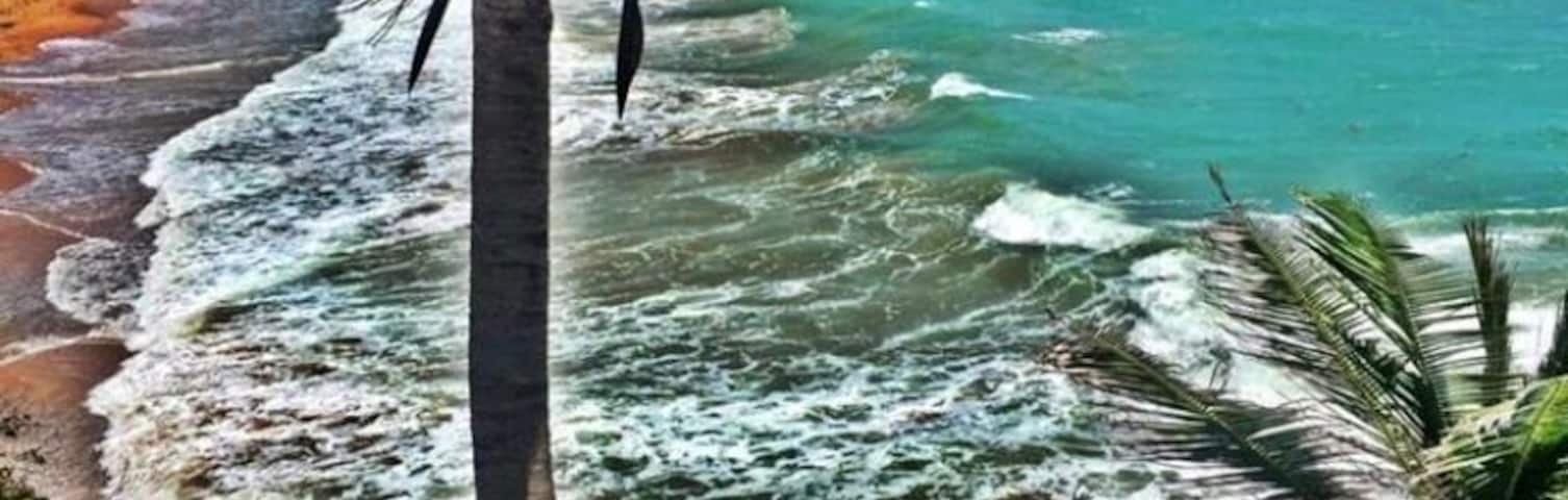 This photo was taken on the walkway path to Punta Tuna Lighthouse.
#Green