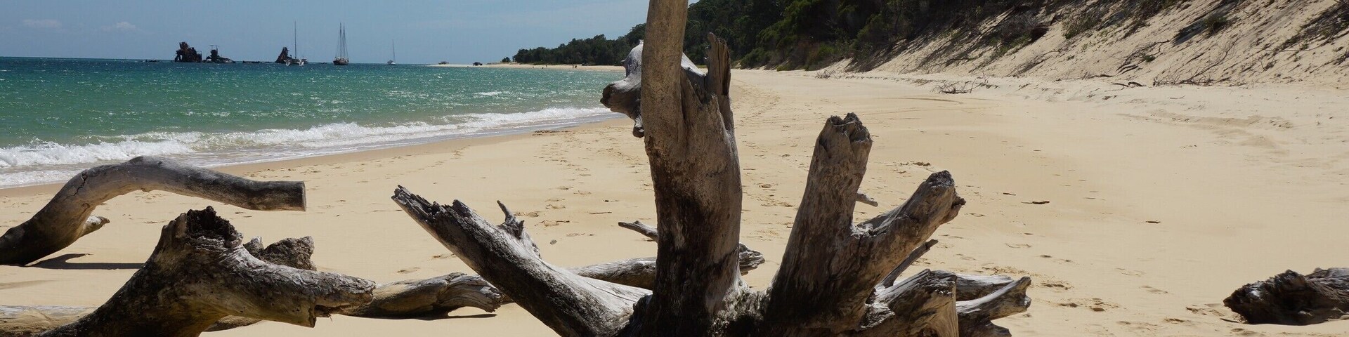 4WD is the only way to get around on Moreton Island, but Tangalooma Resort has an expanse of beach that is pedestrian only. It is blocked off either end by old logs - this is the Northern end looking towards the wrecks.