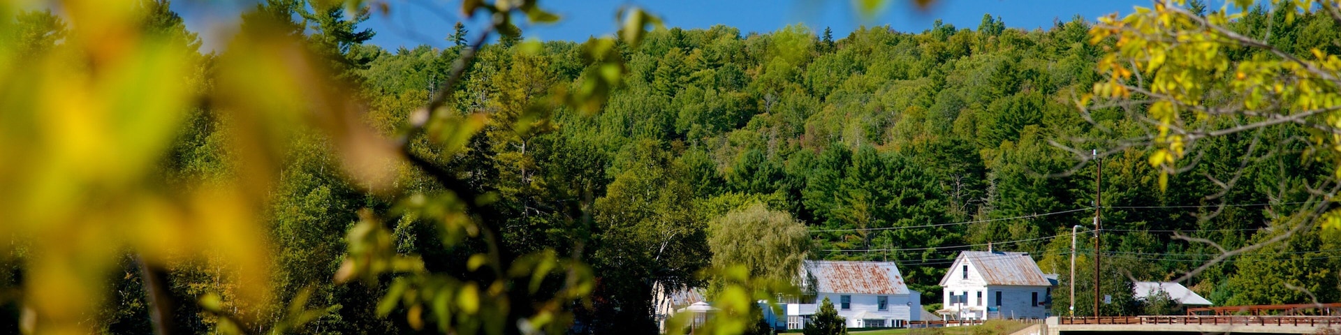 The Forks featuring forest scenes, tranquil scenes and a river or creek